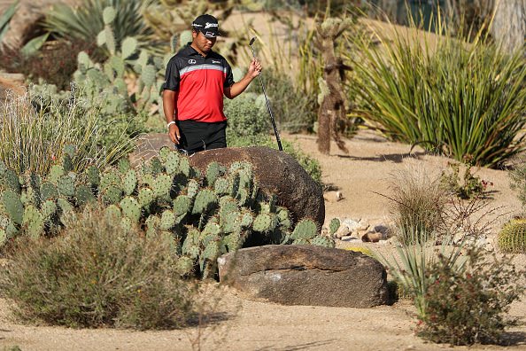 Cactus | National Club Golfer