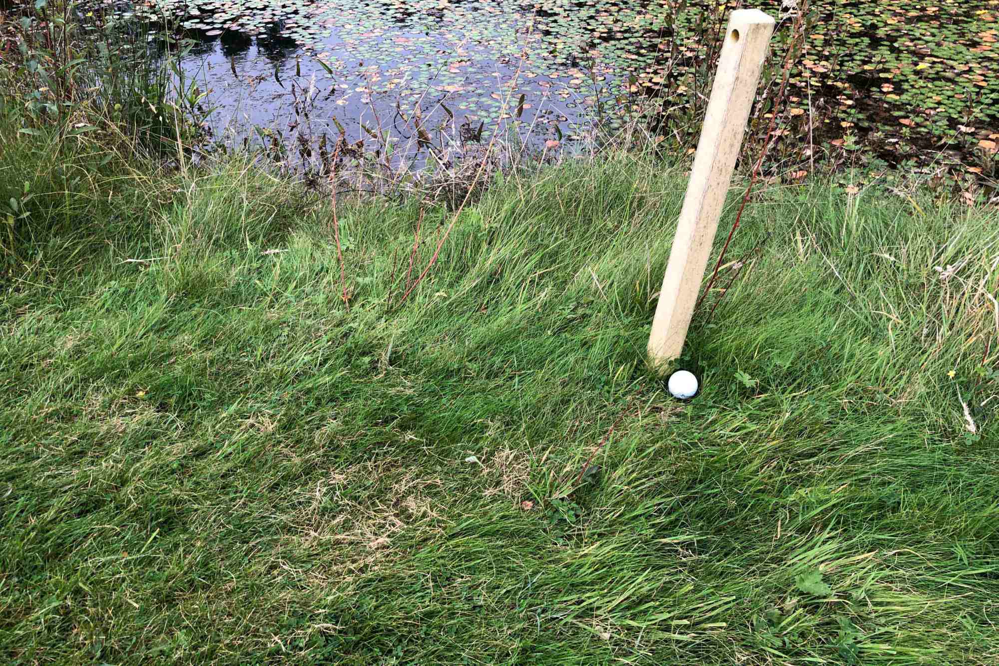 Rules Of Golf Explained Can I Move A Penalty Area Stake If It s