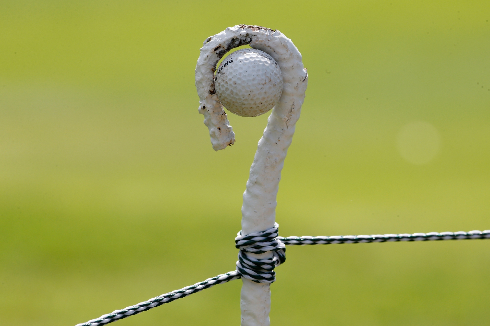 What is a No Play Zone in golf? Here's what you need to know